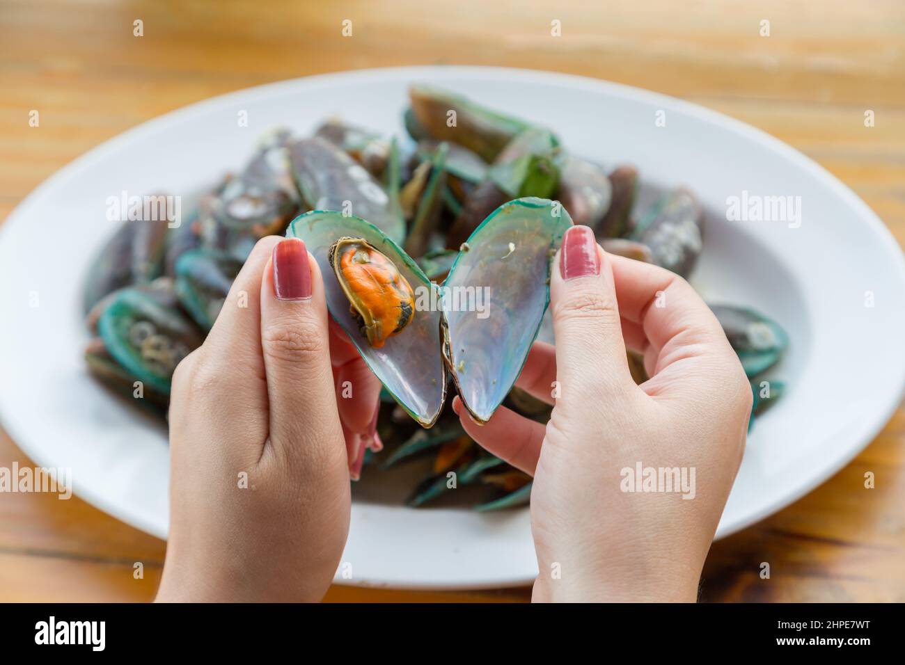 Woman hand open green mussel with white disk background Stock Photo - Alamy