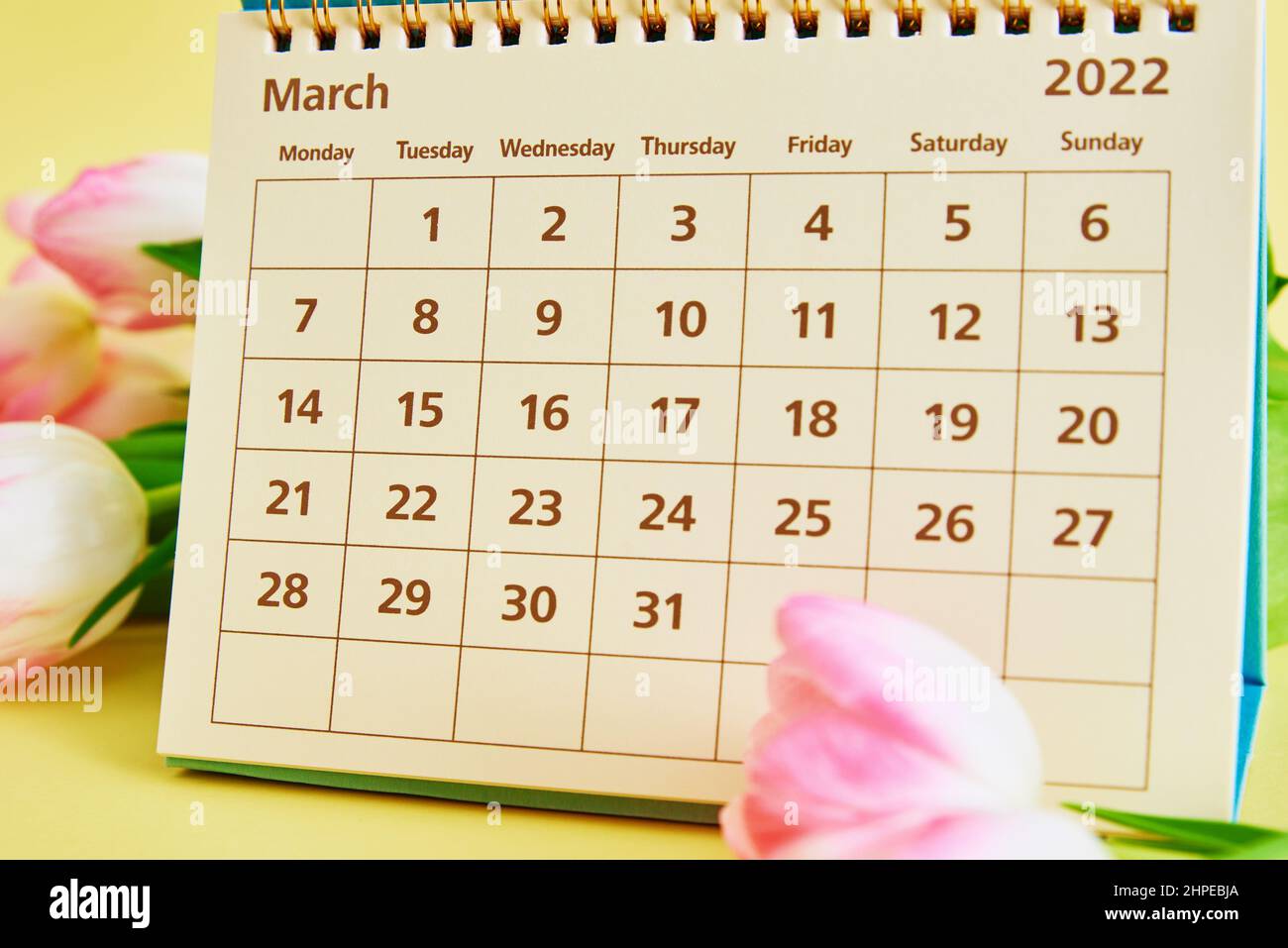 March calendar and tulip flowers on yellow background, Hello spring ...