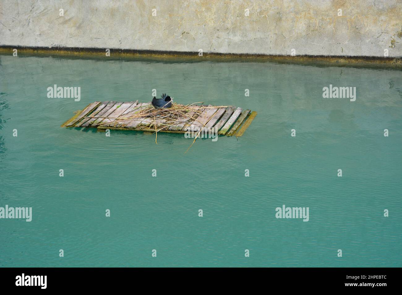 Small wooden raft floating the river Stock Photo - Alamy