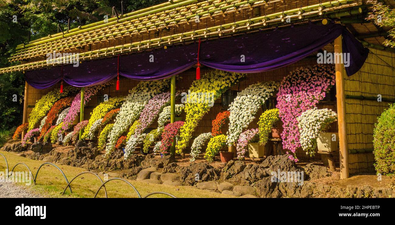 Outdoors small market with colorful flowers in Japan Stock Photo - Alamy