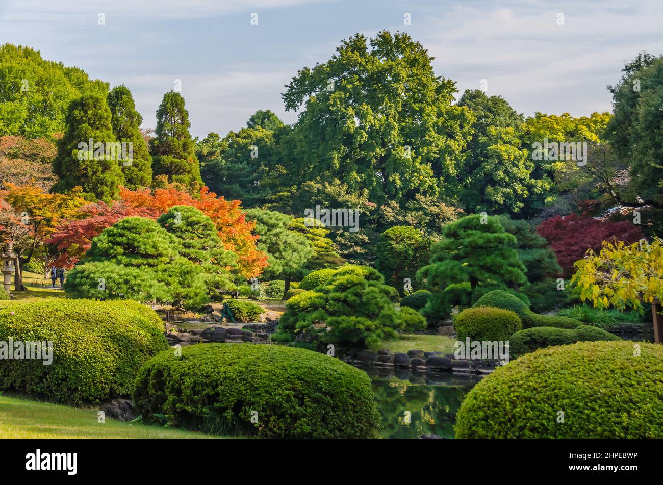 Fall red trees in Japan during Stock Photo - Alamy
