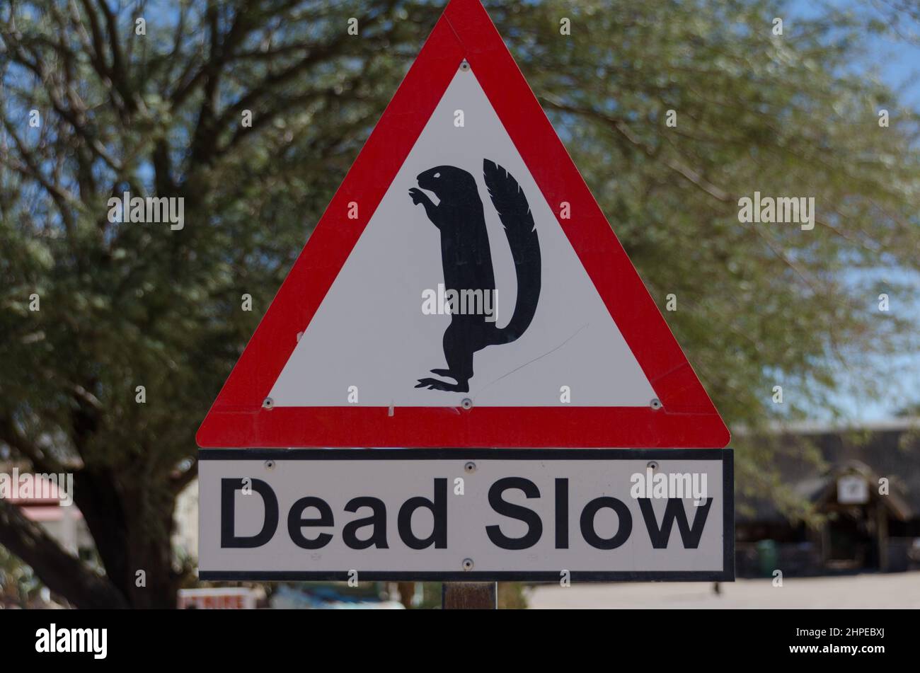 Word solitaire hi-res stock photography and images - Alamy