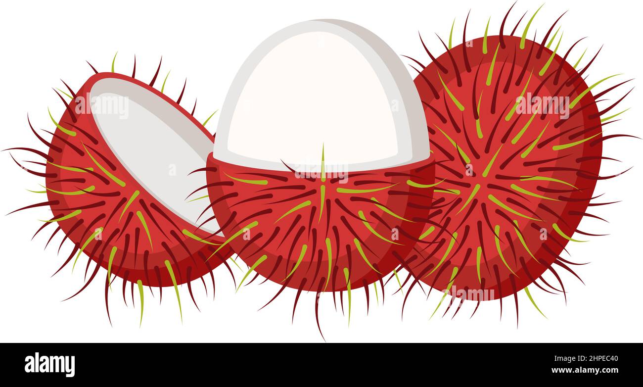 Illustration tropical fruit open Stock Vector Images - Alamy