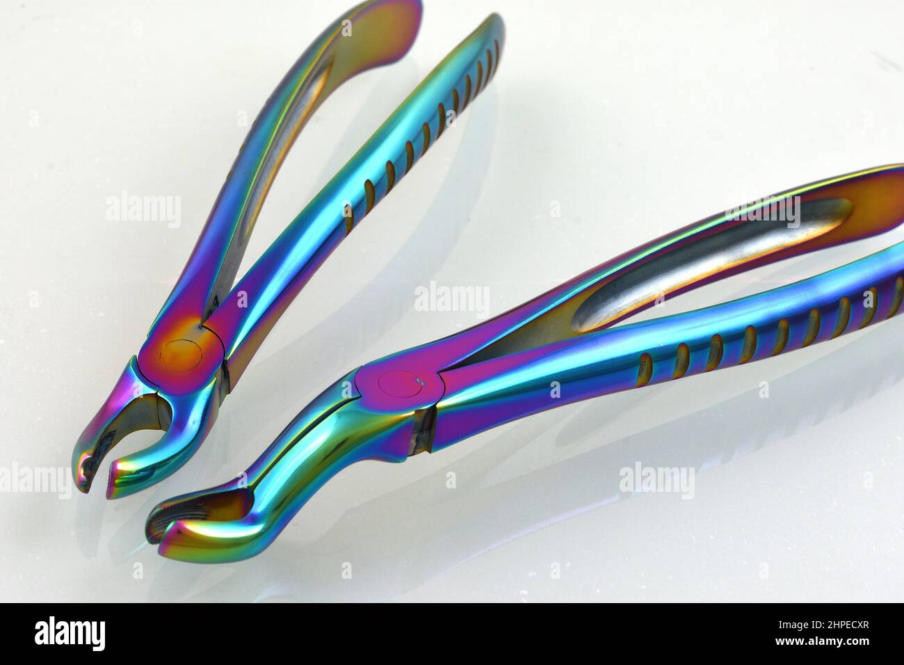 Multi colored Micro dental forceps Stock Photo - Alamy