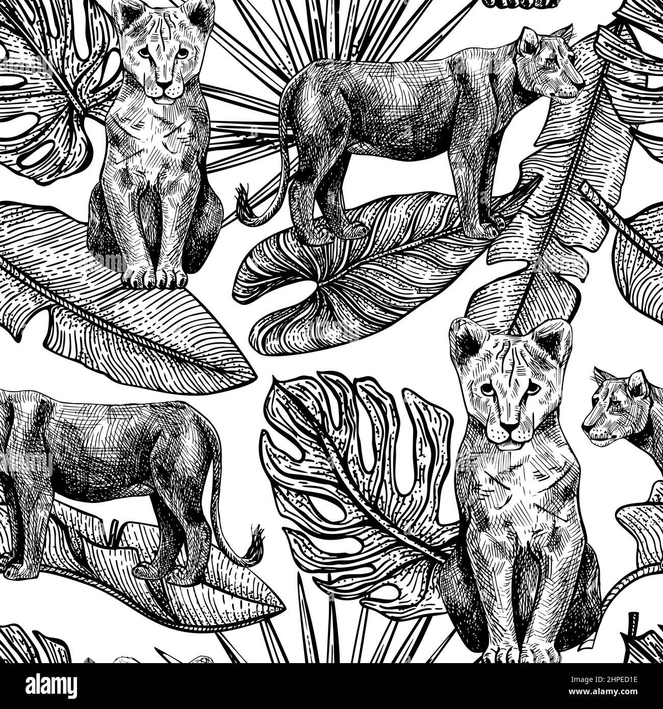 Vintage animals Black and White Stock Photos & Images - Alamy