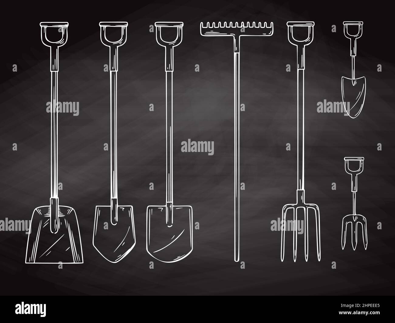 Set of different garden tools. Shovel, rake, pitchfork, spade. Vector ...