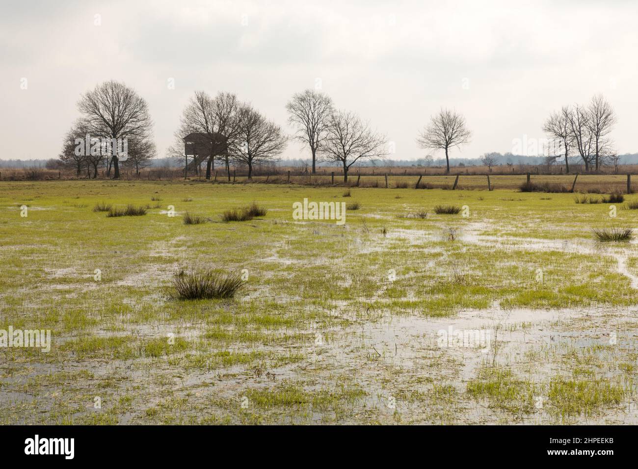 Water marsh landscape view with the field in the background on a gloomy ...