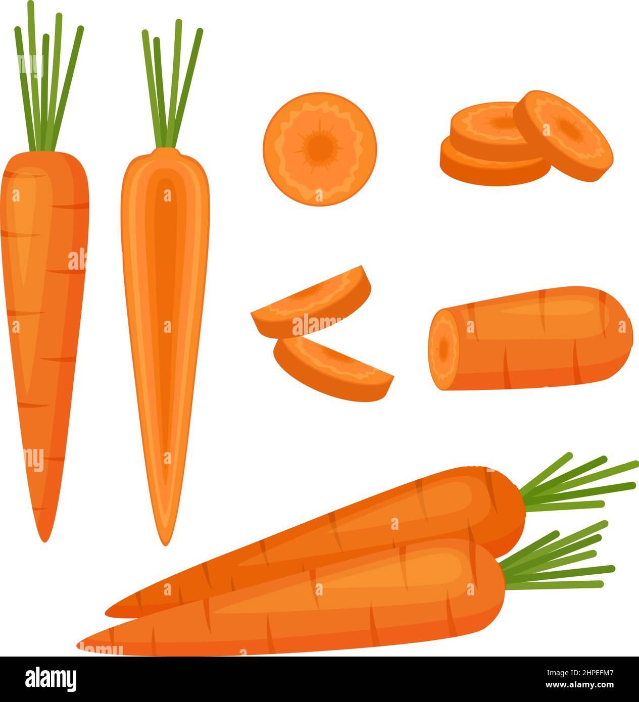 Carrot Illustration Vector