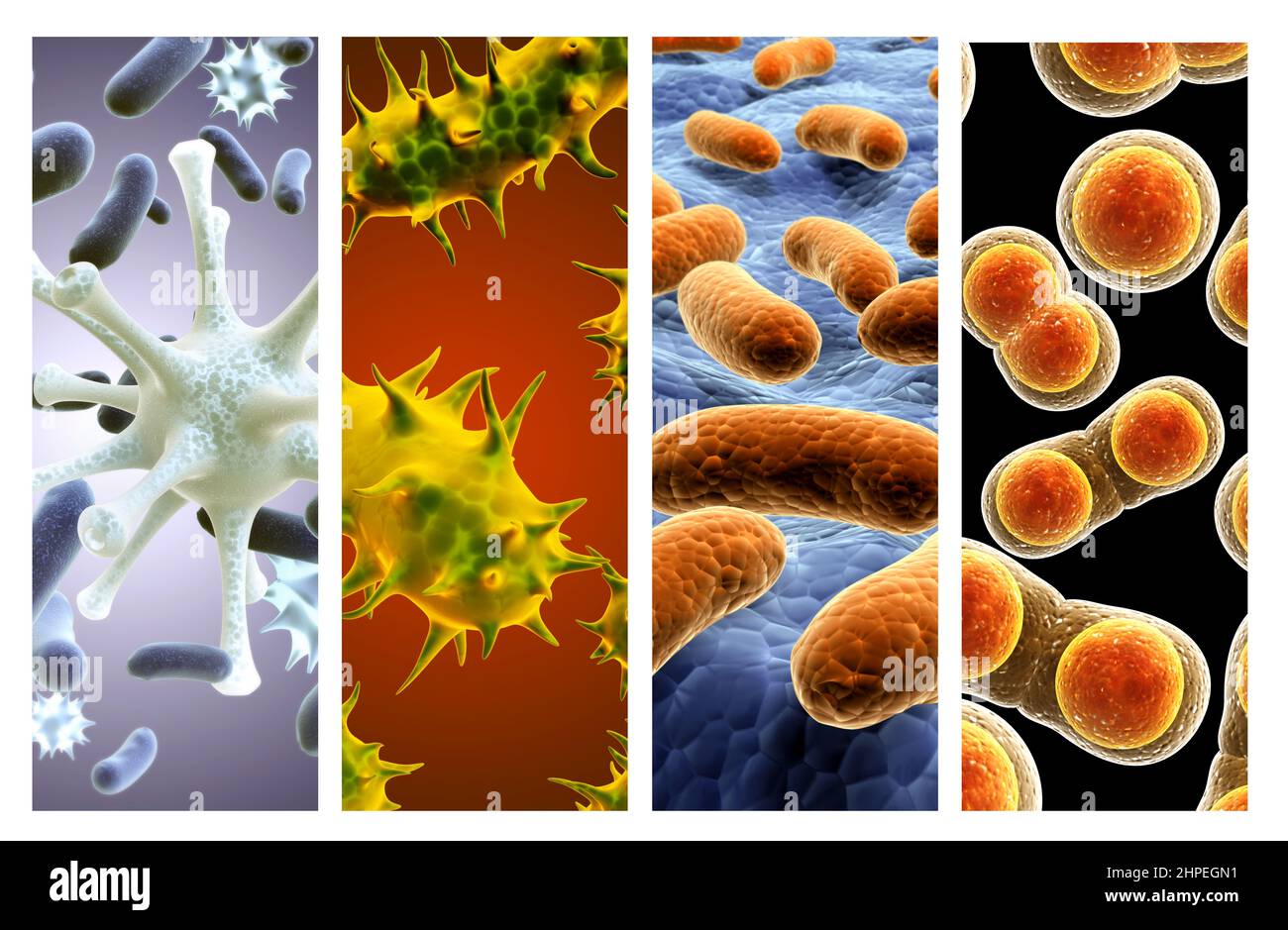 Collection of horizontal or vertical banners with pathogenic bacterias ...