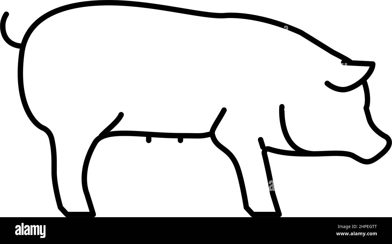 pig domestic animal line icon vector illustration Stock Vector Image ...