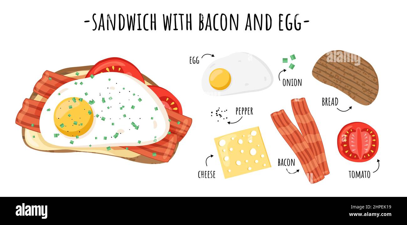Sandwich elements. Tasty ingredients layers on toasted bread, breakfast ...