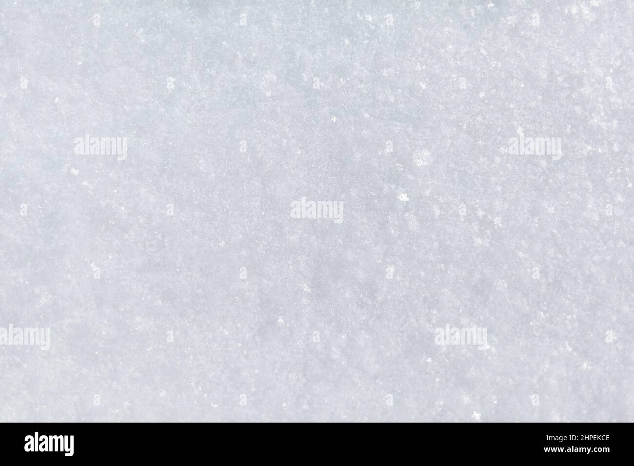 Clean, white snow close up. Winter background. Snow surface Stock Photo ...