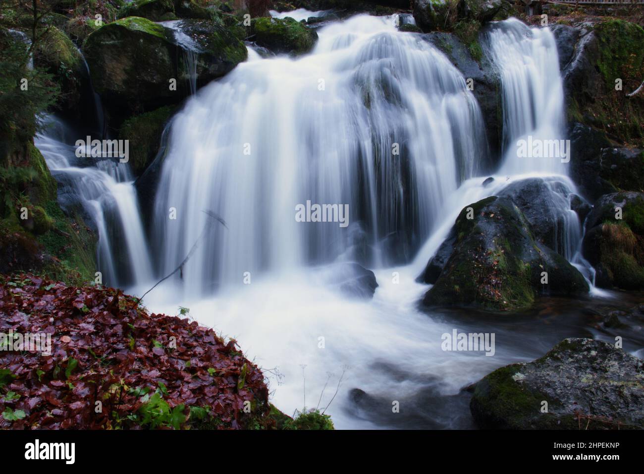 Water cascading over a hill into a basin at the Triberg waterfall in ...