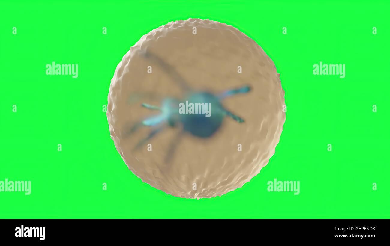 3d illustration - a cancer cell on green screen Stock Photo - Alamy