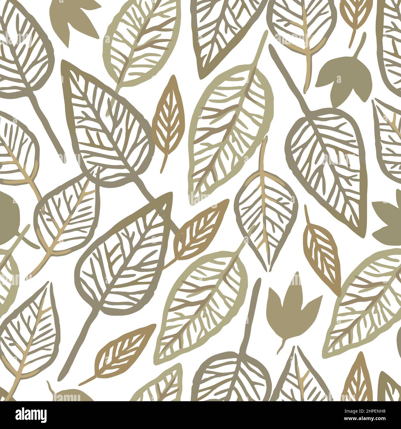 Skeleton leaf pattern Stock Vector Images - Alamy