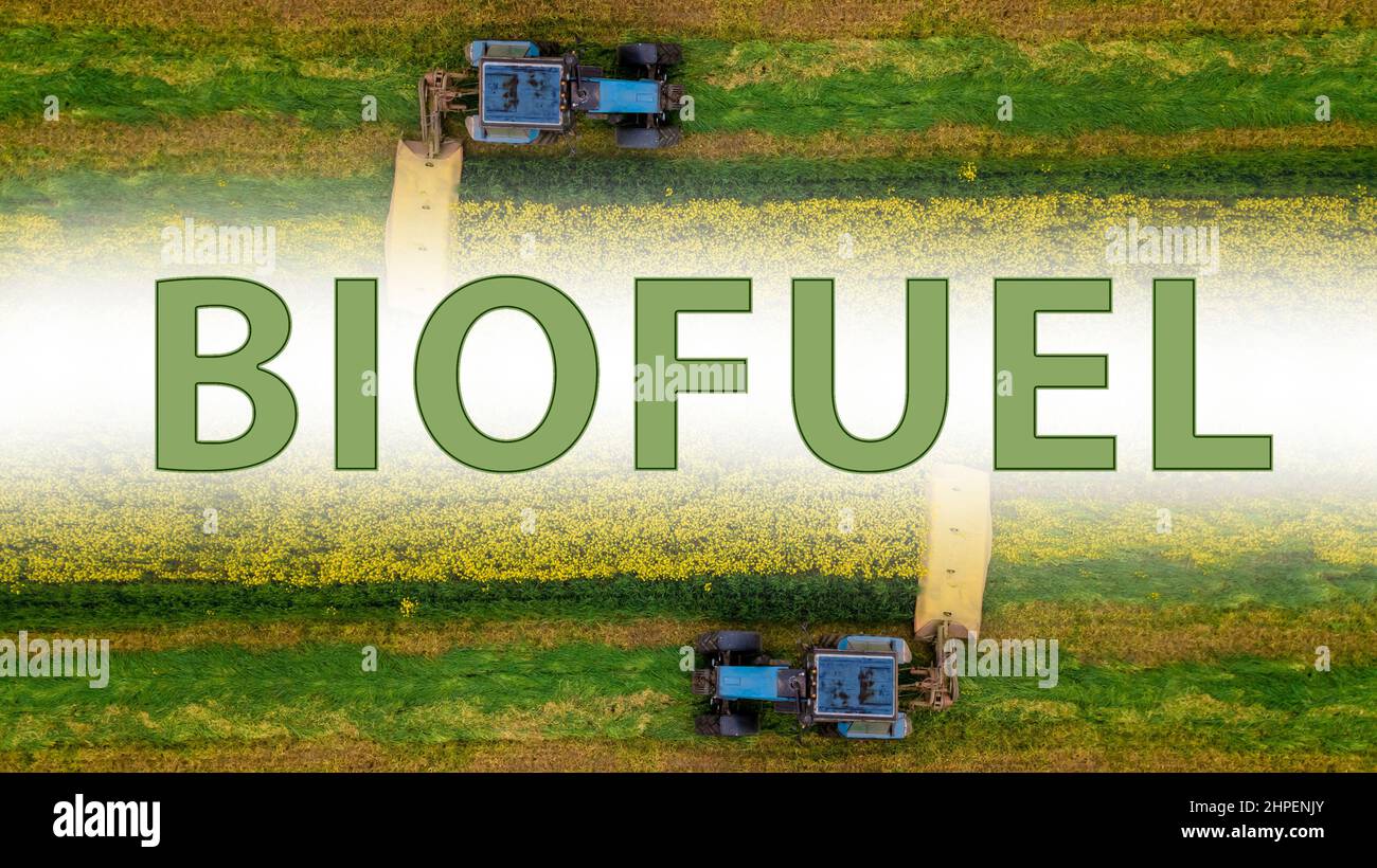 the inscription biofuel on the background of a rapeseed field top view ...