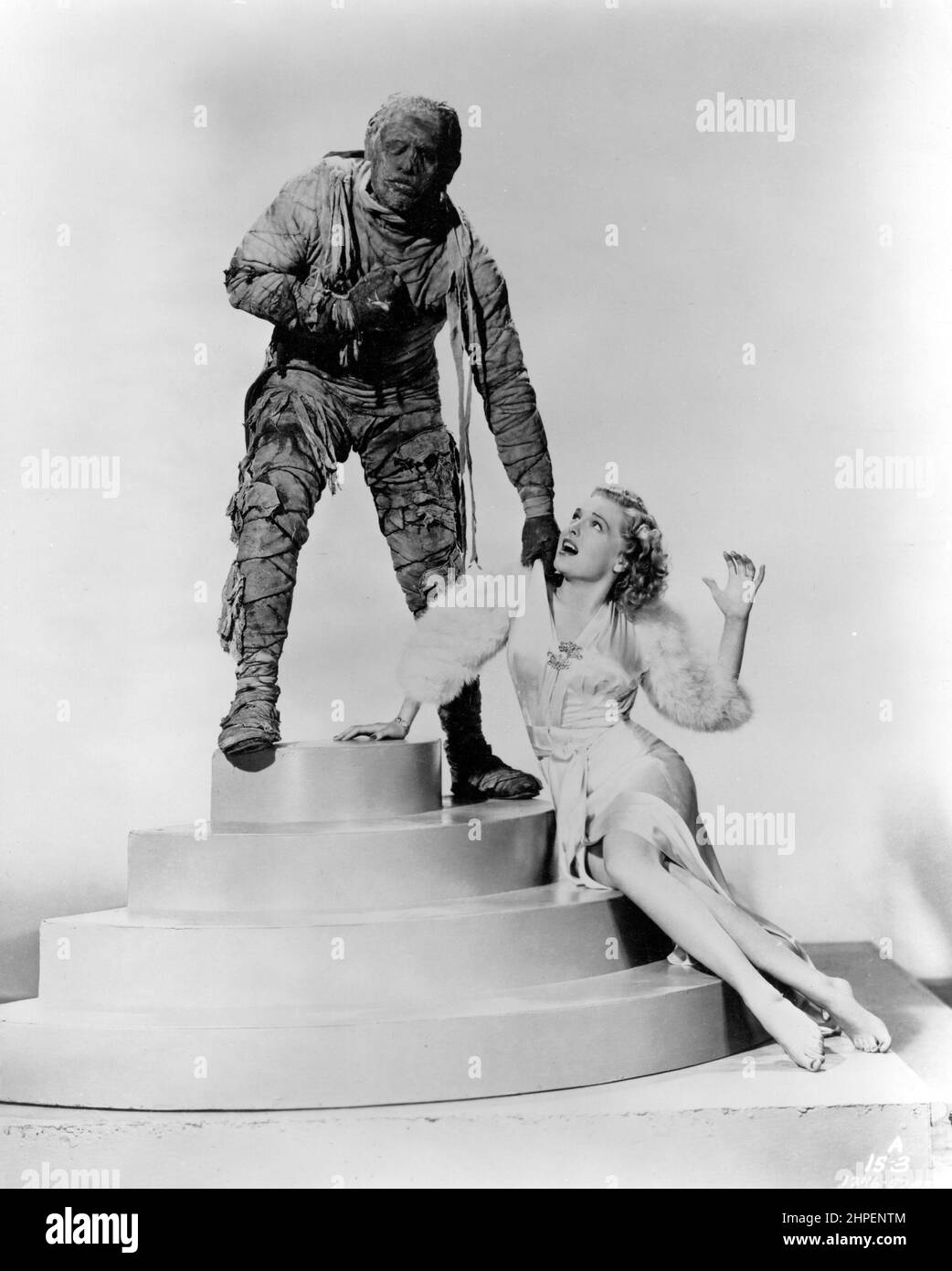 Elyse Knox