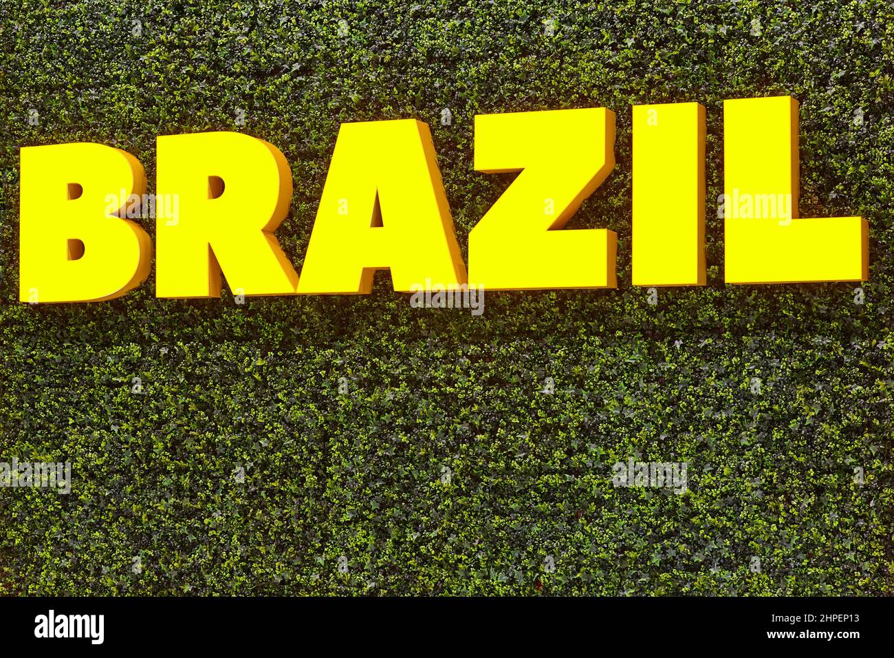 Brazil yellow color logo text over a green plants background Stock ...