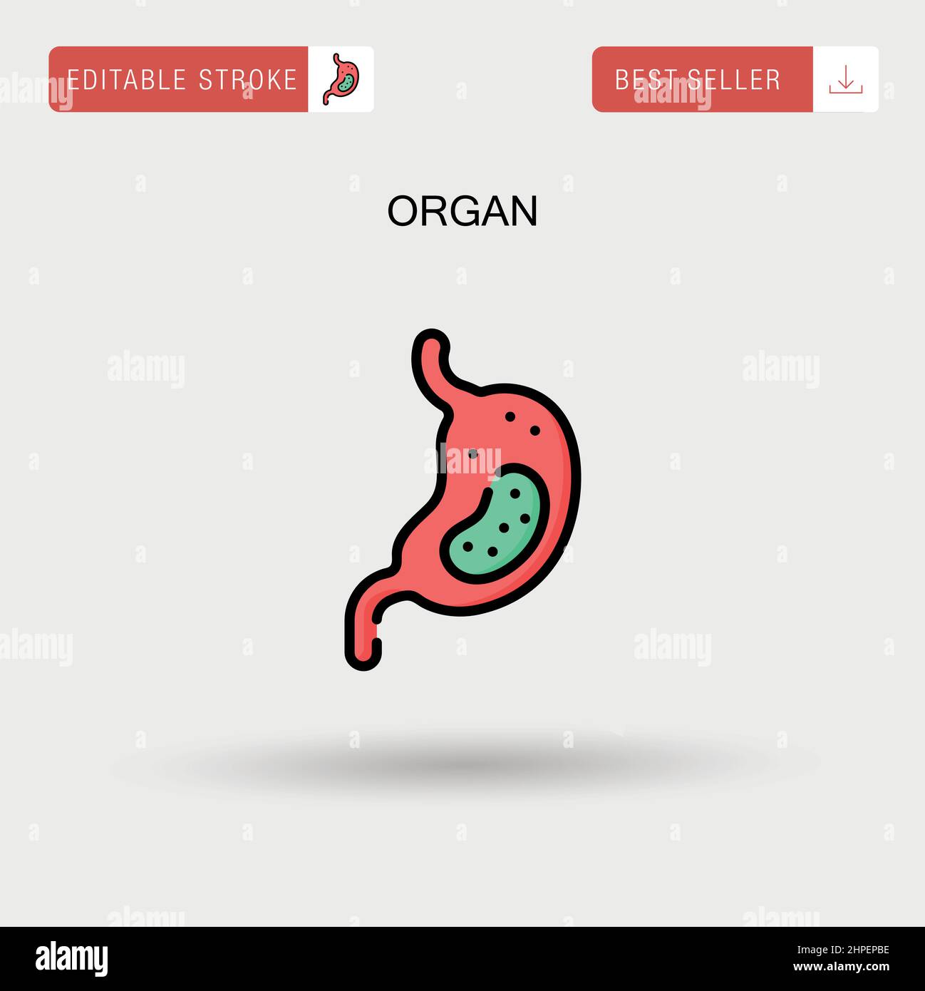 Male internal organs Stock Vector Images - Alamy