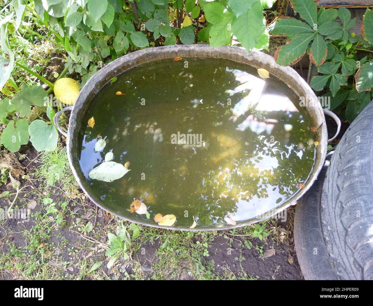 Water tank in the garden to collect rainwater, muddy water, floating ...