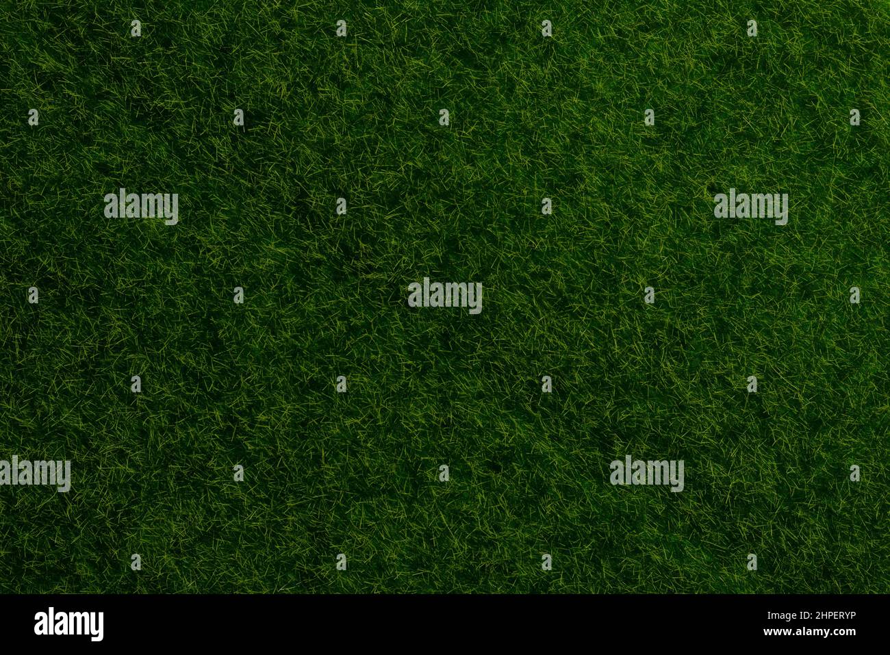 Green lawn background. Green grass, top view Stock Photo - Alamy