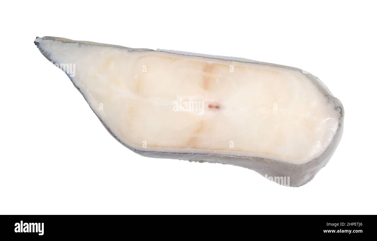 Frozen stake wolffish or wolfeel, also known as sea wolves. Isolated on ...