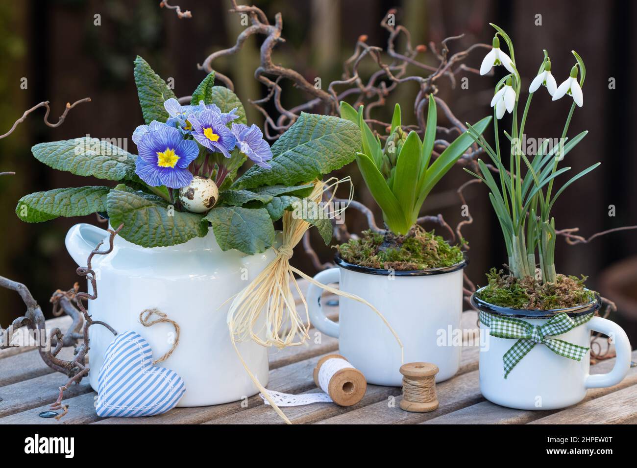 Blue Primrose You And Me