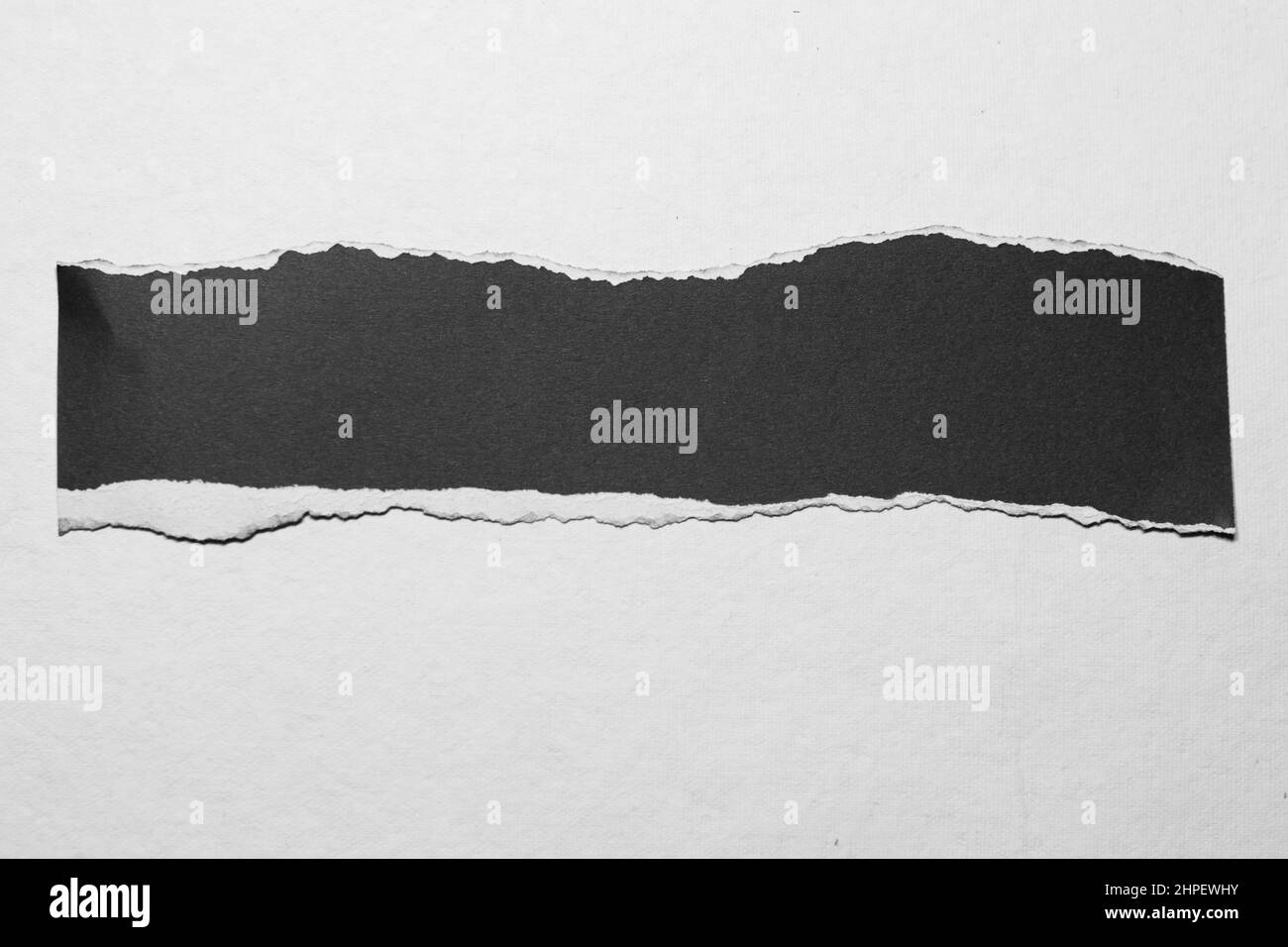 Paper tear, ripped paper edge, torn edge, isolated paper tear white on ...