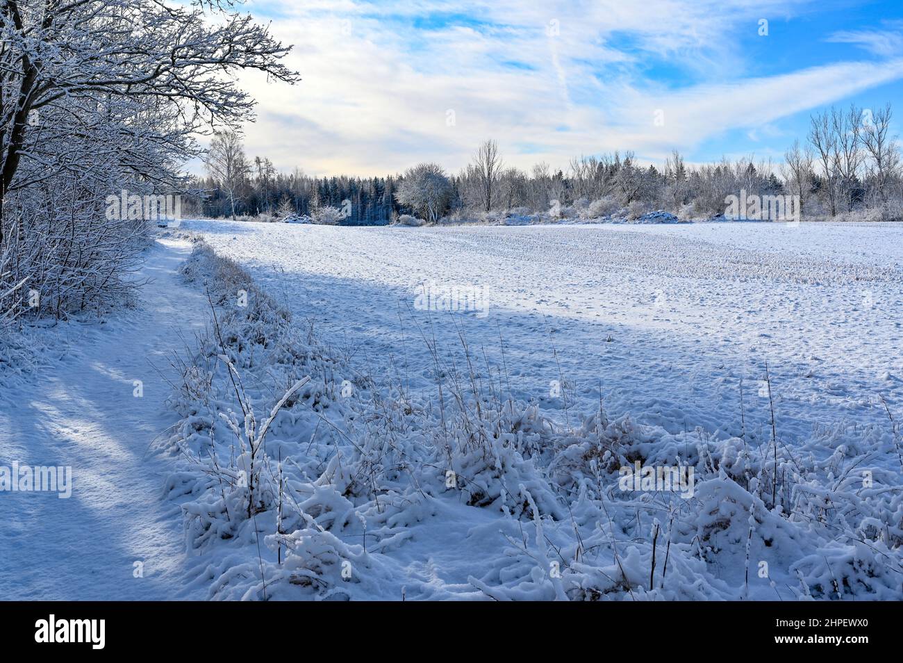 agriculture field and beautiful sky in february 2022 Stock Photo - Alamy