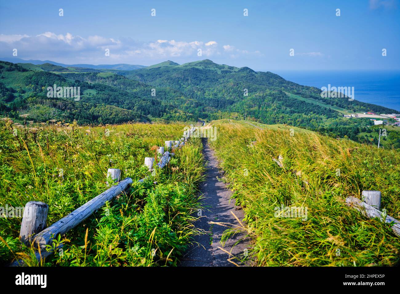 Landscape in Rebun Island, Hokkaido, Japan Stock Photo - Alamy
