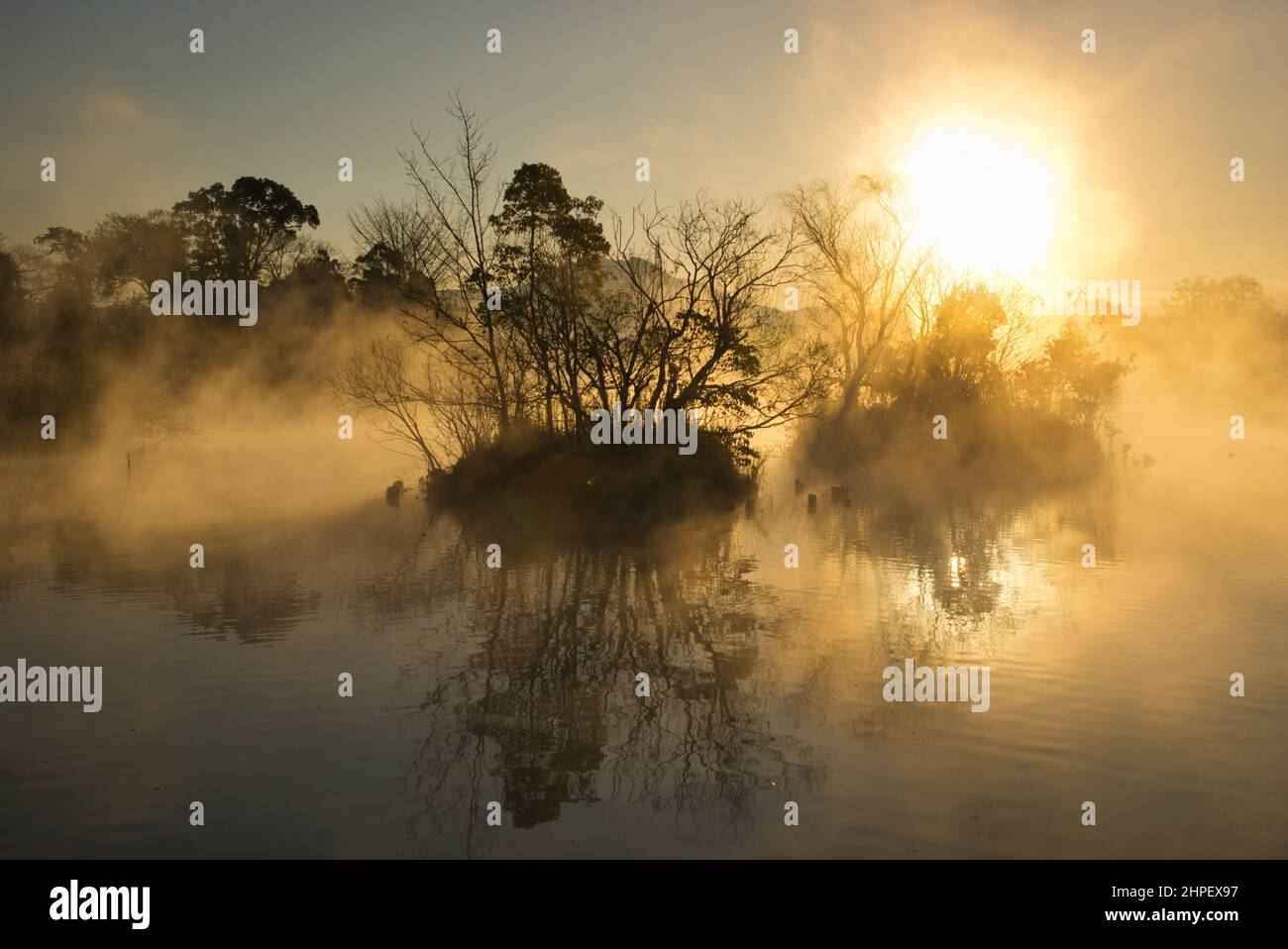 Ukishima pond hi-res stock photography and images - Alamy