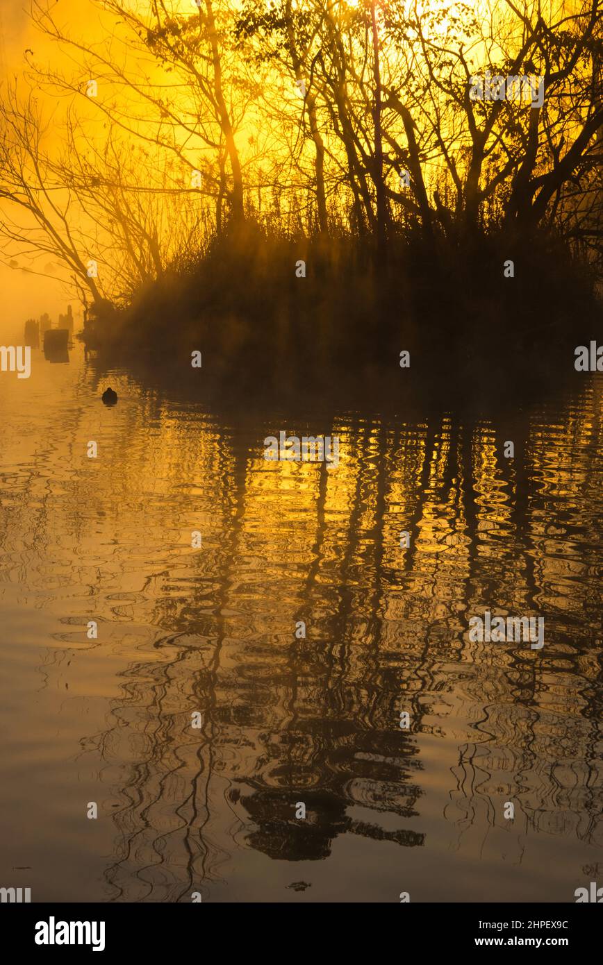 Ukishima pond hi-res stock photography and images - Alamy