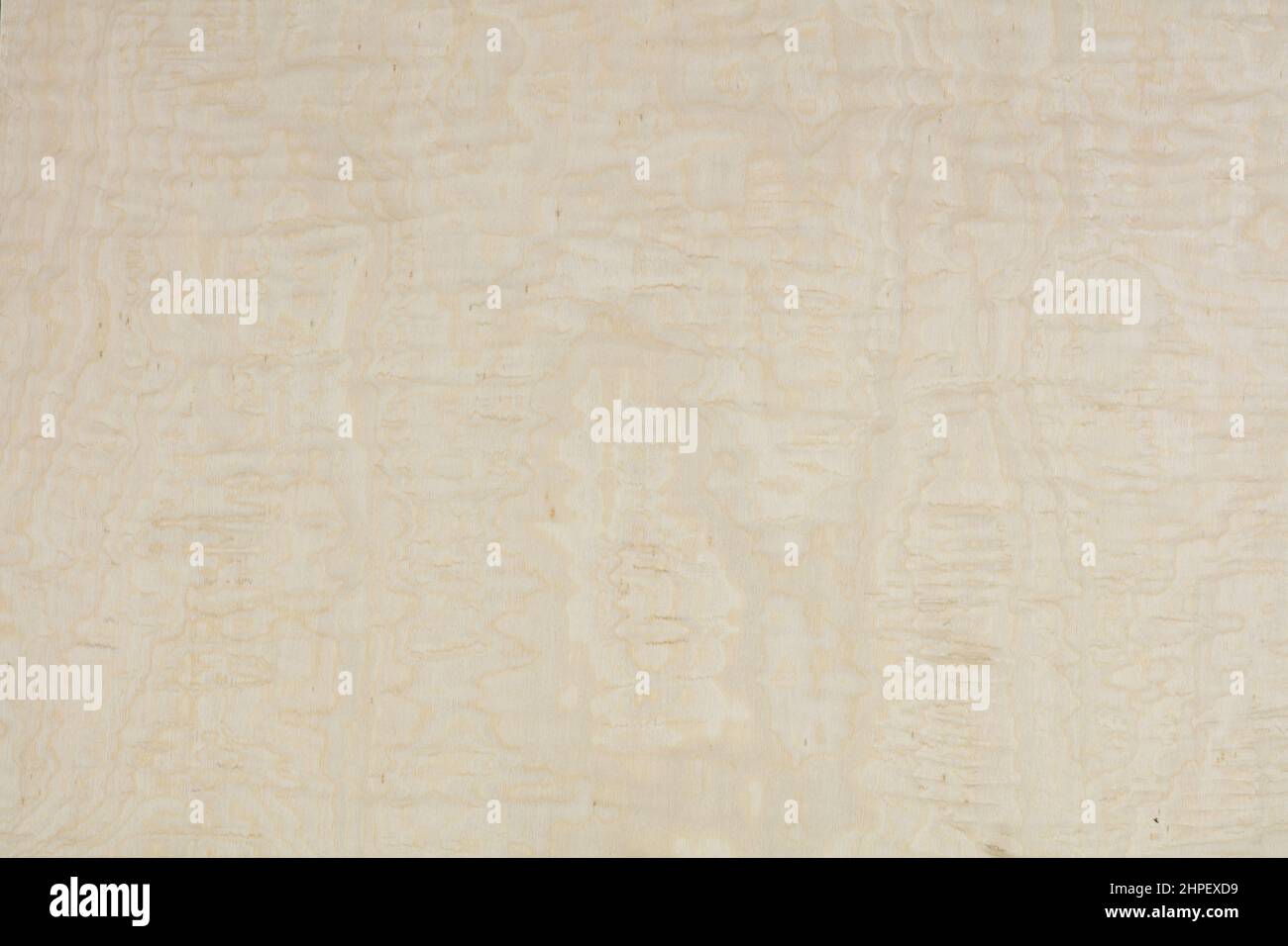 Stylish veneer background in beige color, texture for design project ...