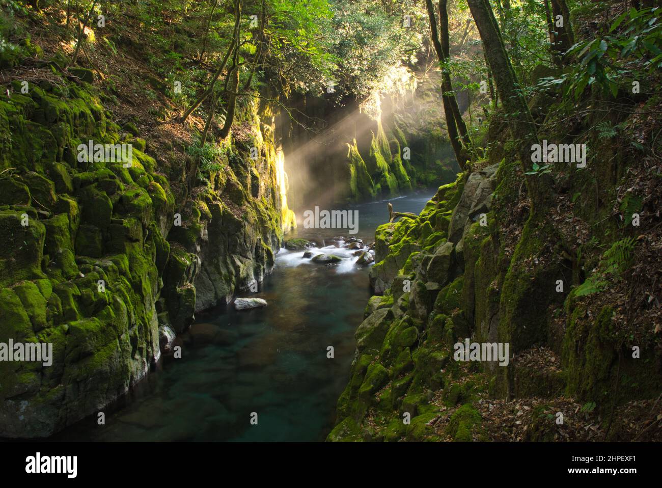 Kikuchi Gorge in the Morning, Winter, Kumamoto Prefecture, Japan Stock ...
