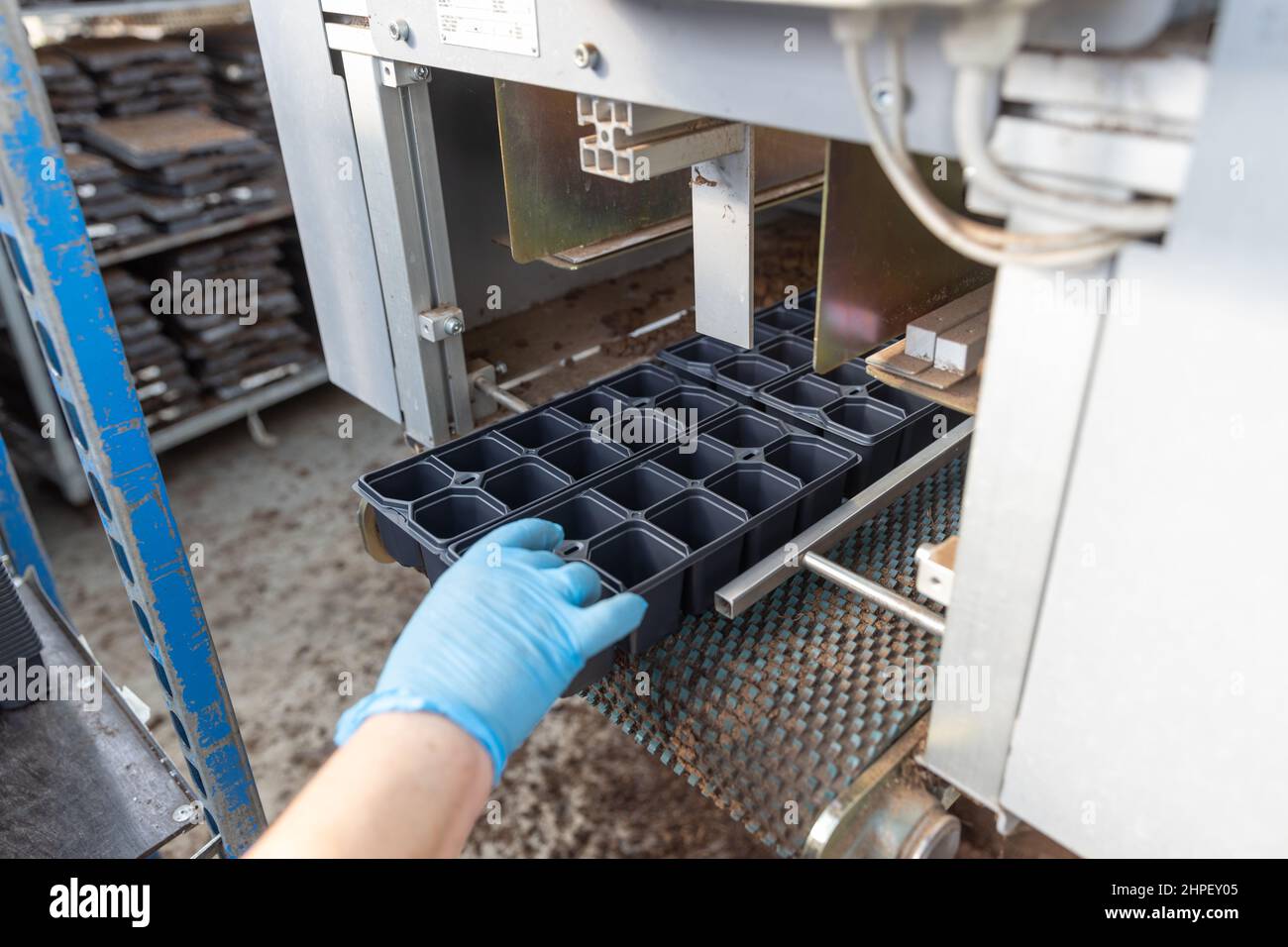 Soil distributor and potting machine use in the plant nursery Stock ...