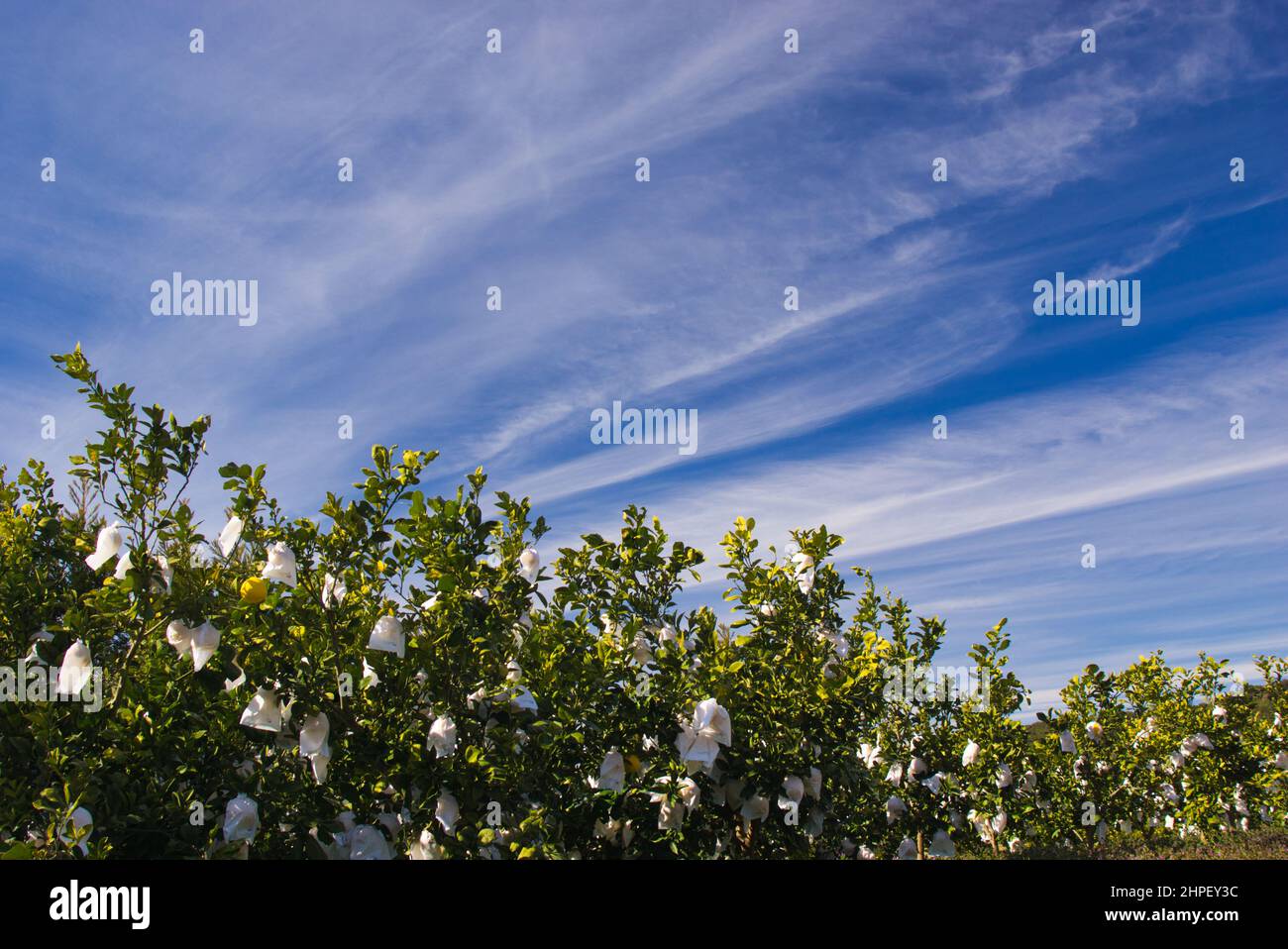 Uki city hi-res stock photography and images - Alamy