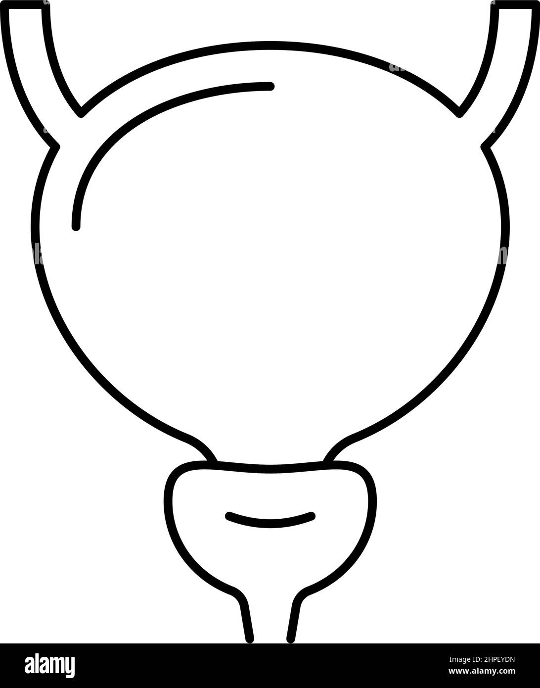 bladder human organ line icon vector illustration Stock Vector Image ...