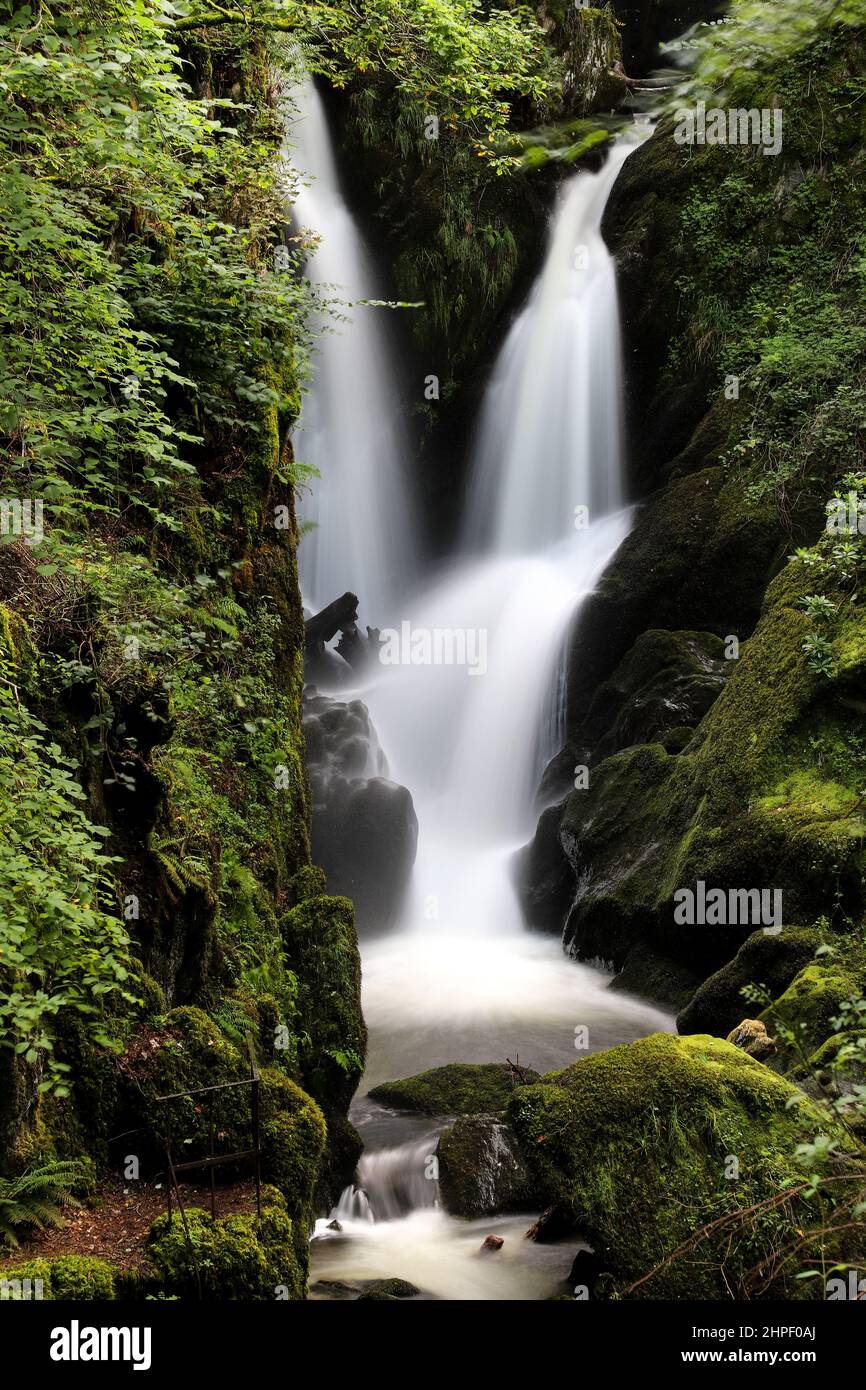 Stock Ghyll waterfall near Ambleside Stock Photo - Alamy
