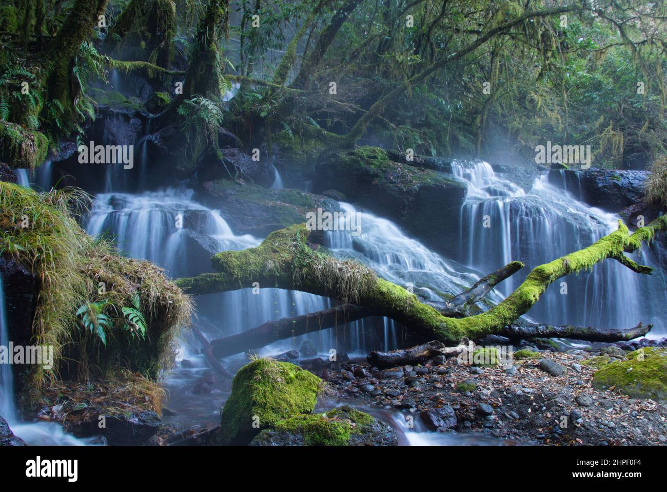 Kikuchi Gorge in the Morning, Winter, Kumamoto Prefecture, Japan Stock ...