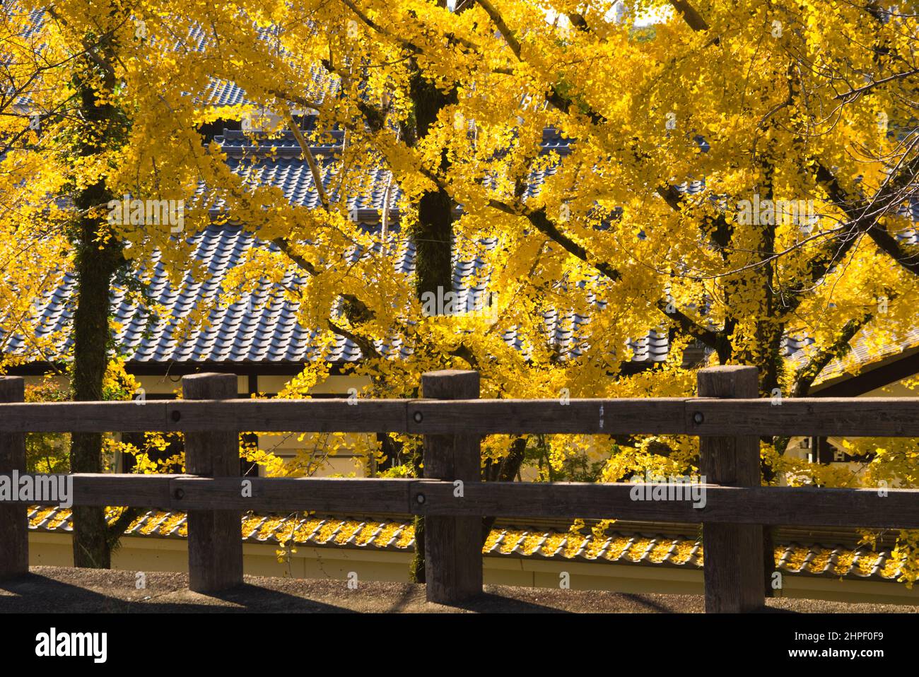 Sakura no baba josaien hi-res stock photography and images - Alamy