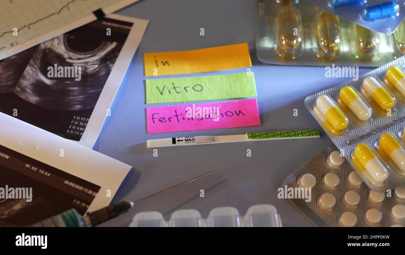 IVF or in vitro fertilisation, reproductive assisted technology ...