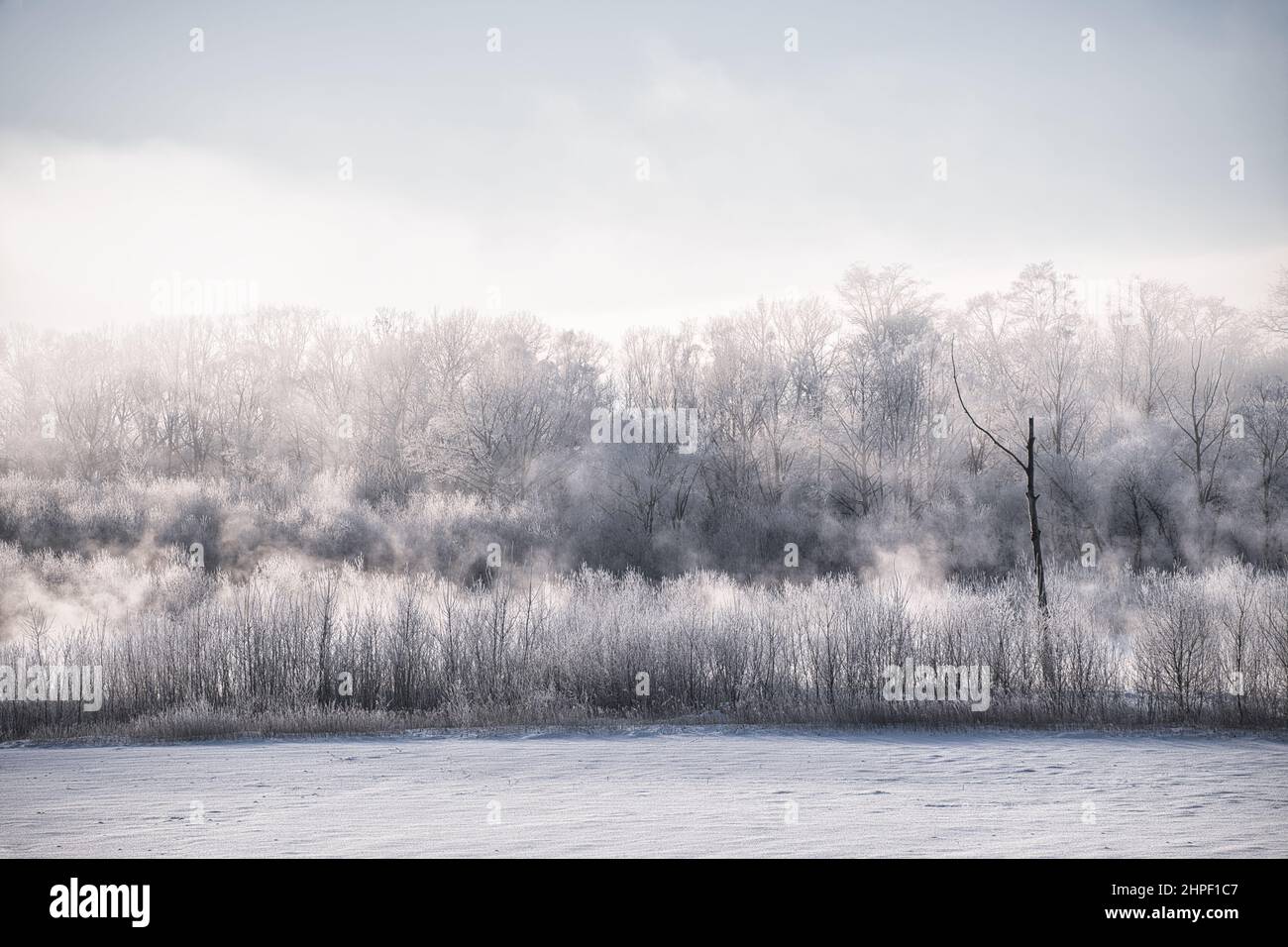 Rime Ice and Steam Fog Stock Photo - Alamy