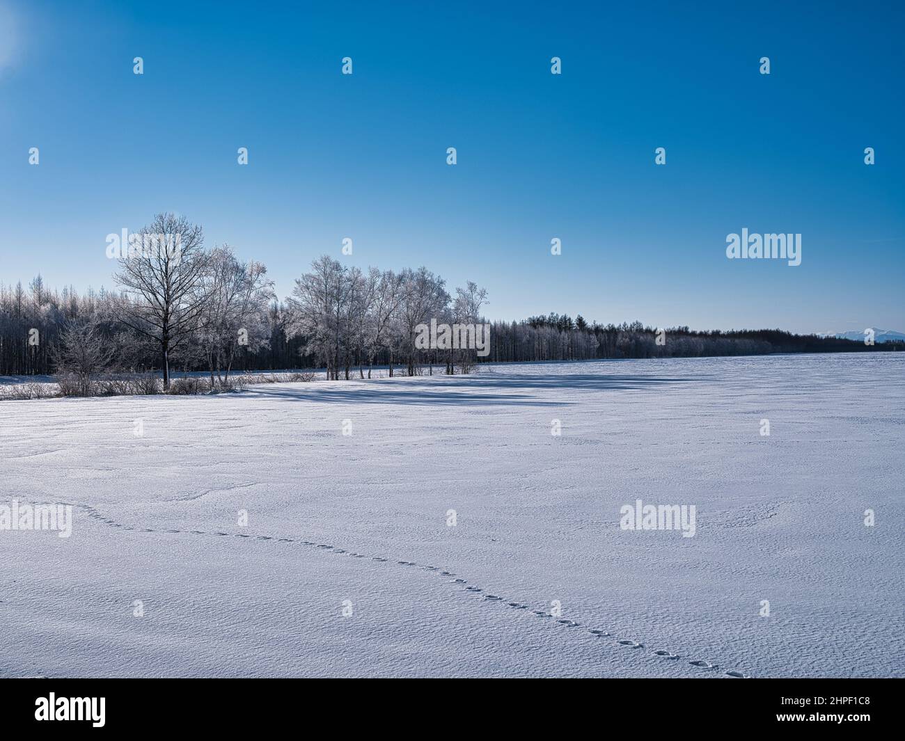 Wide snowfield hi-res stock photography and images - Alamy
