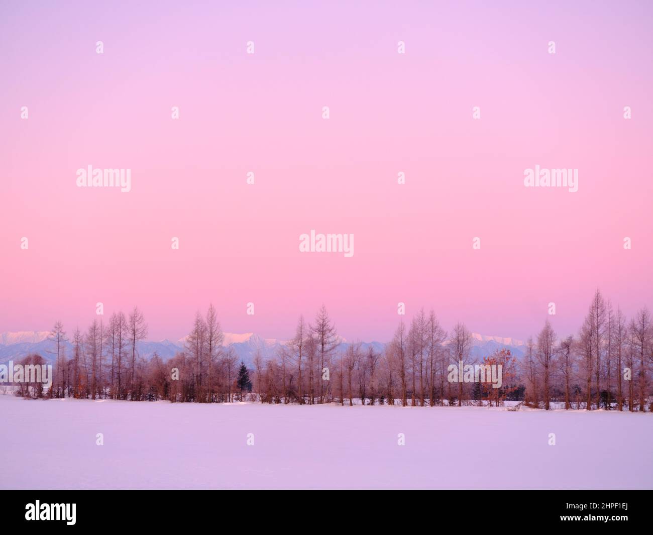 Snowfield at Dawn Stock Photo - Alamy