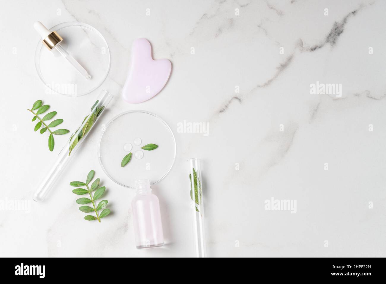 Cosmetic laboratory concept . Glass petri dishes with cosmetic products ...