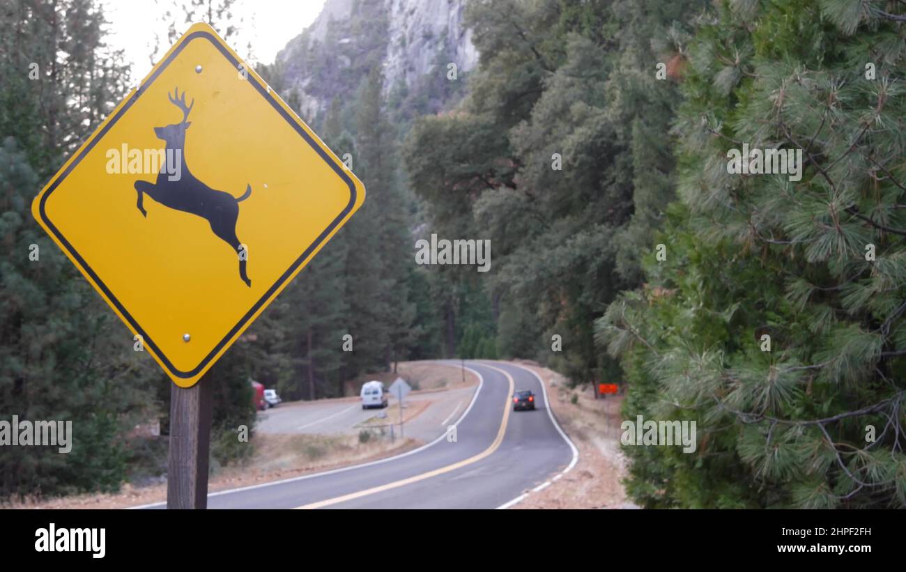 Deer crossing warning yellow sign, California USA. Wild animals xing ...
