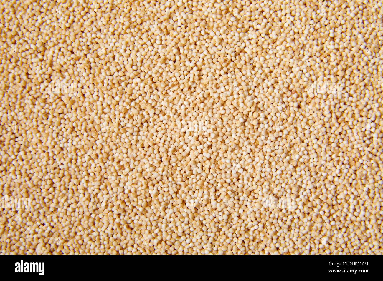 Flat lay macro natural dried amaranth seeds, top view Stock Photo - Alamy
