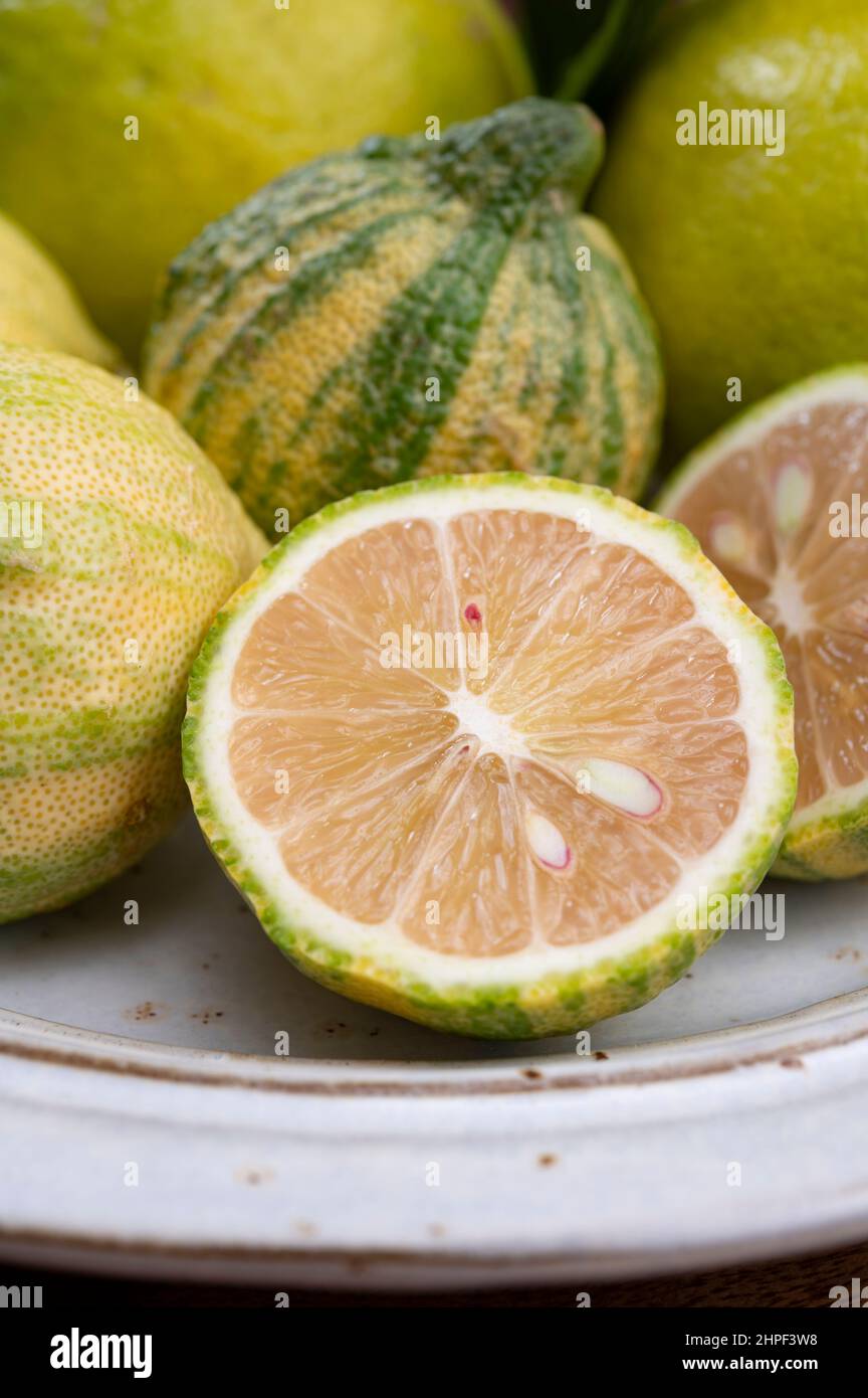 Fresh ripe bergamot citrus fruit and pink tiger lemons close up Stock ...