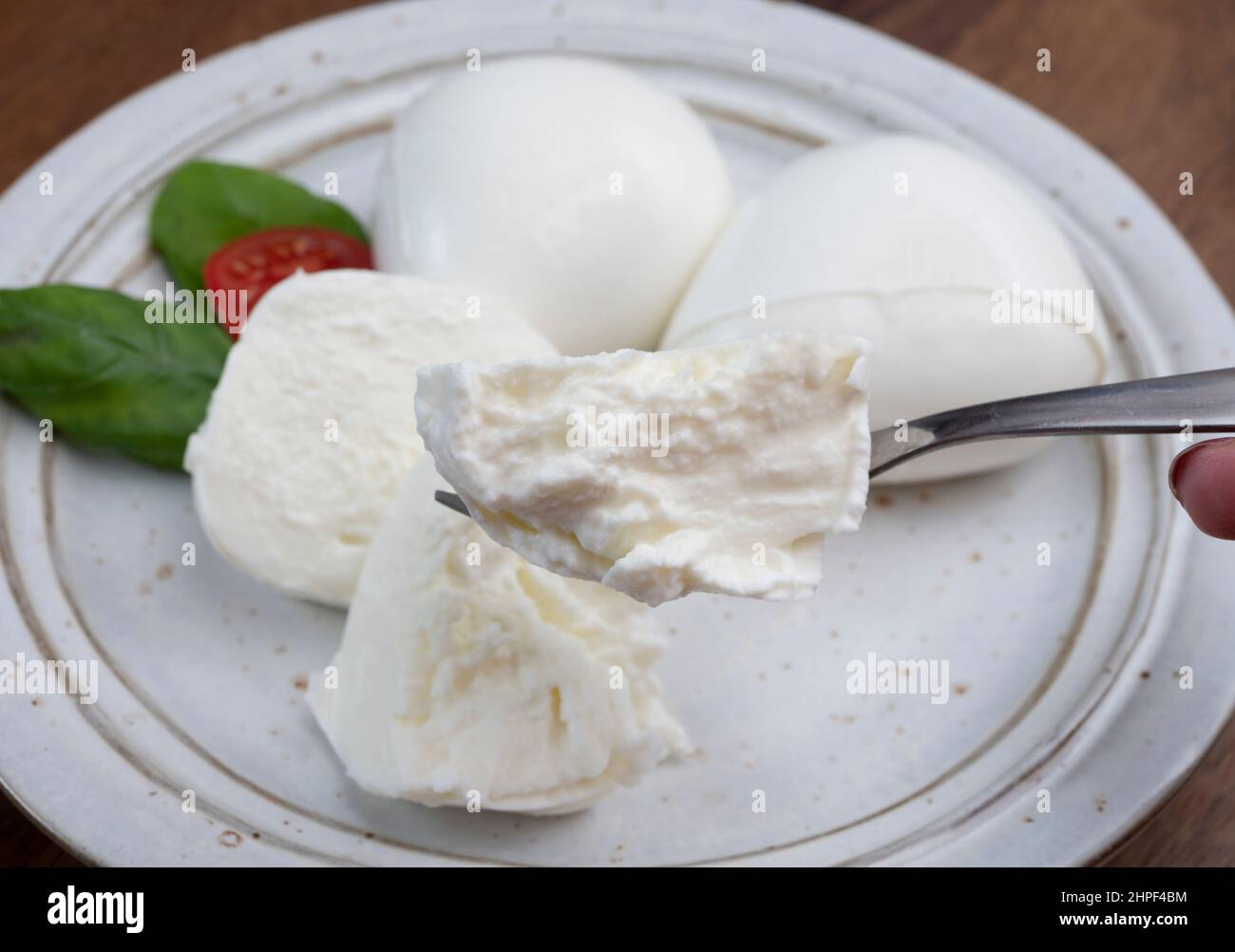 Tasing of fresh italian cheese mozzarella di buffalo close up Stock ...
