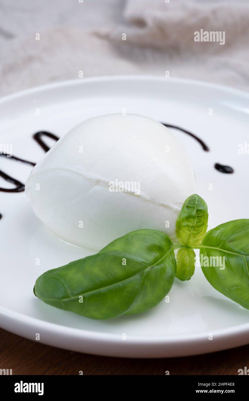 Tasing of fresh italian cheese mozzarella di buffalo with Balsamic ...